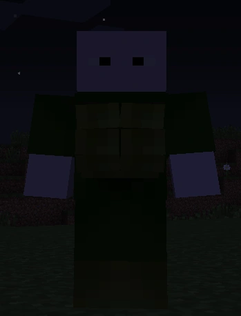 Turtle | Minecraft Legends Mod Wiki | Fandom