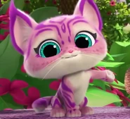 Willa | SuperKitties Go Wiki | Fandom