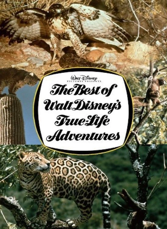 The Best of Walt Disney's True-Life Adventure (1975 film) Credits ...