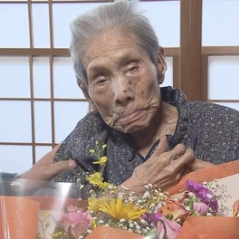 Takeko Miyazawa | Superlongevity Wiki | Fandom