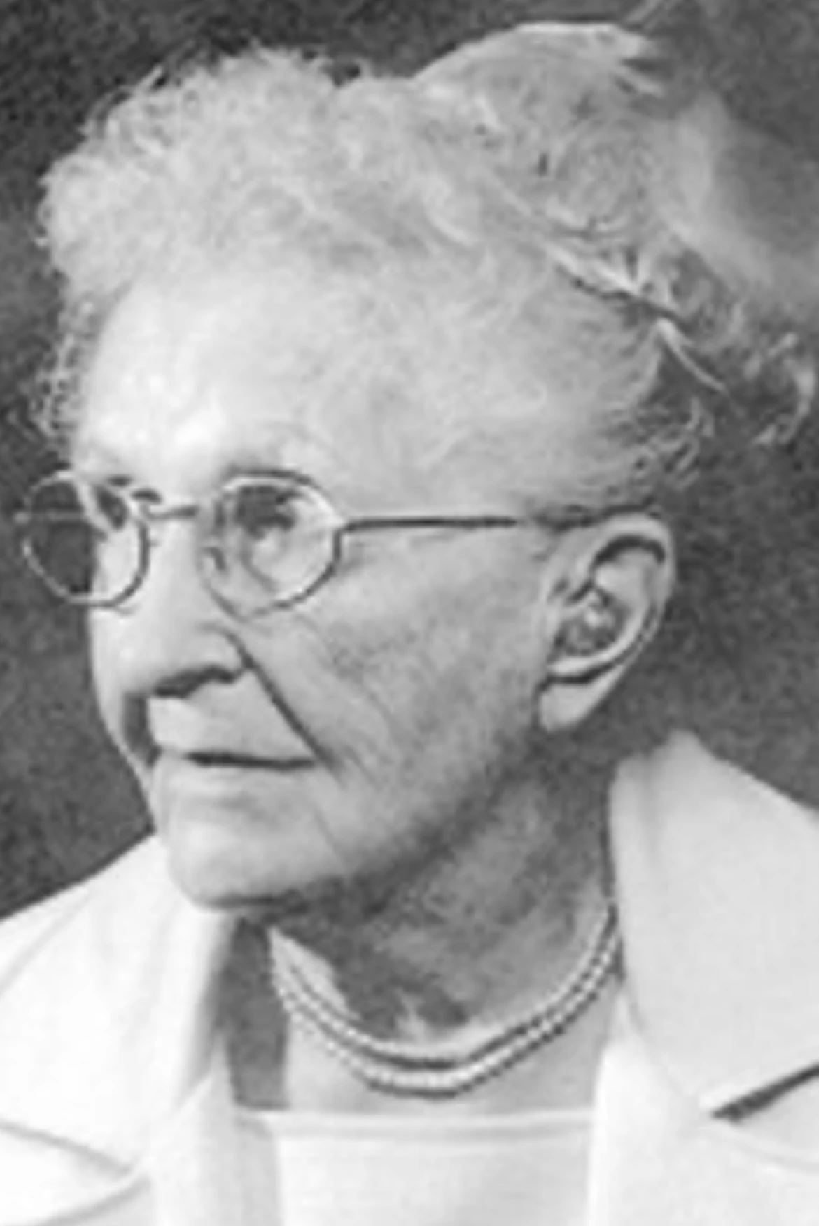 Minnie Stein | Superlongevity Wiki | Fandom