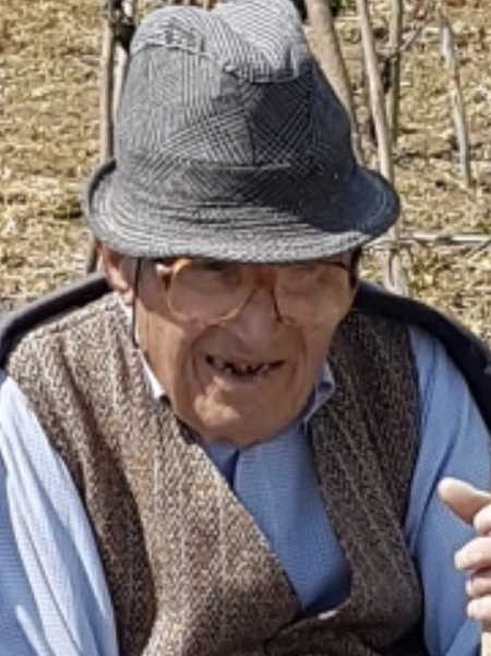 Vitantonio Lovallo | Superlongevity Wiki | Fandom