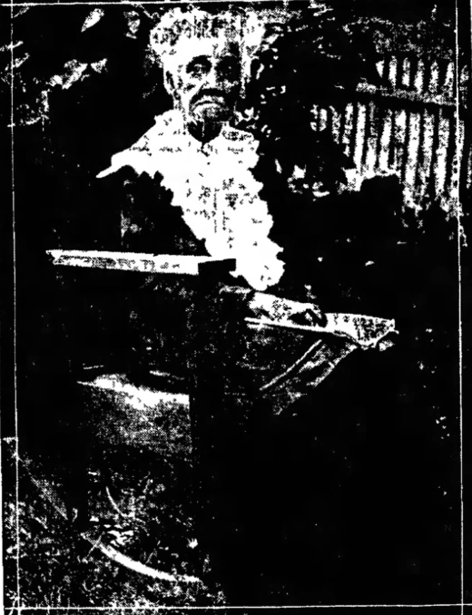 Frances McDonald | Superlongevity Wiki | Fandom