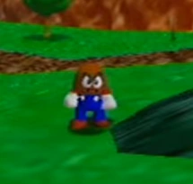 Goomba Head | Supermario64cheatcodes Wiki | Fandom