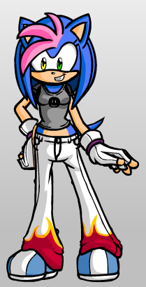 Destiny the Hedgehog | Super Mario and Friends new Adventure Wiki | Fandom