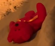 Teddy (Teddy McTedstrer the 8th) | Supermarioeli Wiki | Fandom