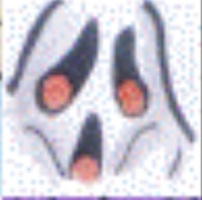 Fantasma | Super Mario Fanon Wiki | Fandom