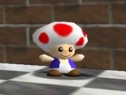 Toad (species) | The SMG4 Wiki | Fandom