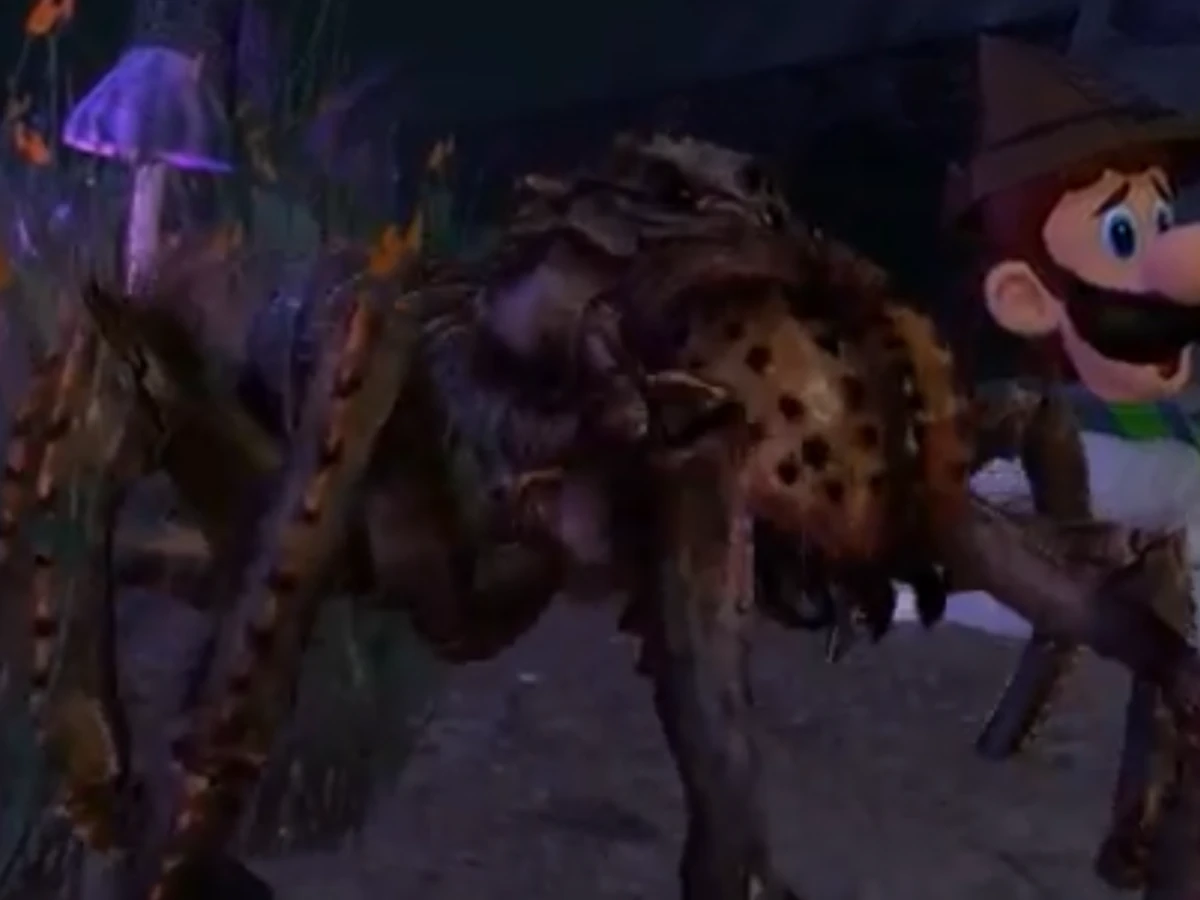 Spiders | The SMG4 Wiki | Fandom