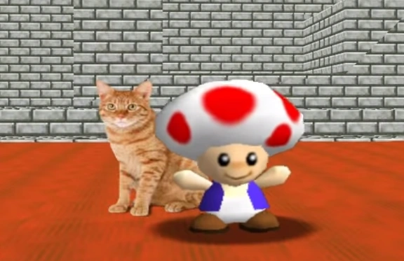 Tabby cat | The SMG4 Wiki | Fandom