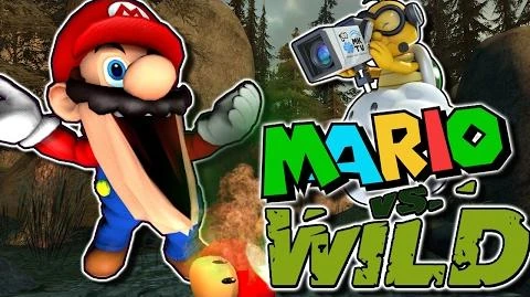 The Mario Channel: Mario Vs Wild | The SMG4 Wiki | Fandom