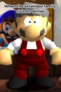 Families | The SMG4 Wiki | Fandom