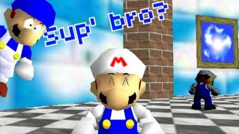 Super Mario 64 Bloopers: Sup' Bro? | The SMG4 Wiki | Fandom