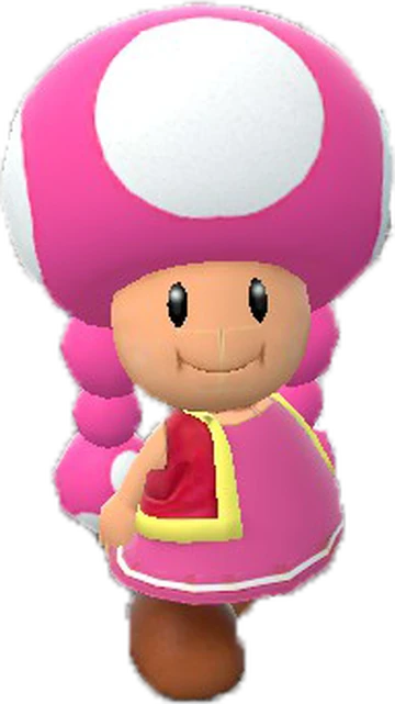 Toad And Toadette Relationship