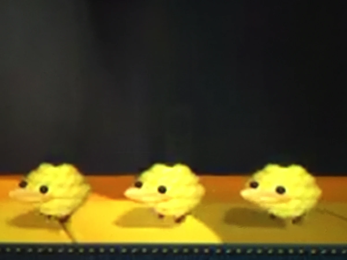 Pyo Pyo | Mario Wiki | Fandom