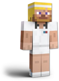 Steve (Minecraft) | Mario Wiki | Fandom