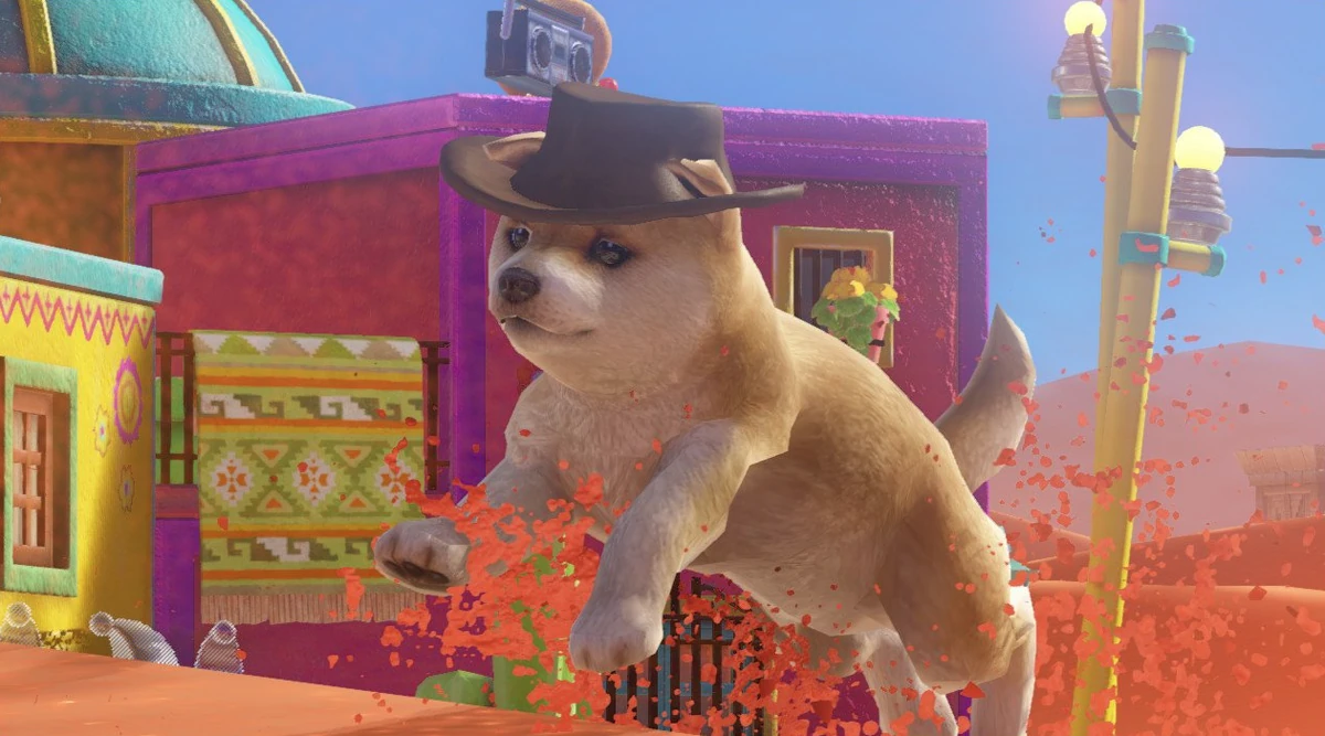 Cane | Mario Wiki | Fandom