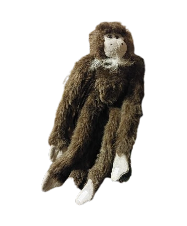 Robert Monkey | Maddieverse Wiki | Fandom