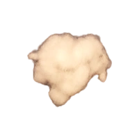 Virus Lint | Maddieverse Wiki | Fandom