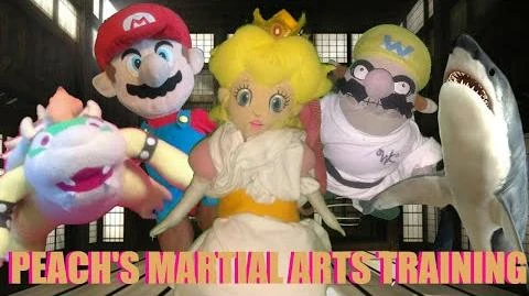 Peach's Martial Arts Training | SuperMarioPlushKids Wiki | Fandom