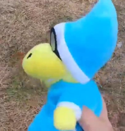 Cody | SuperMarioWilliam Wiki | Fandom