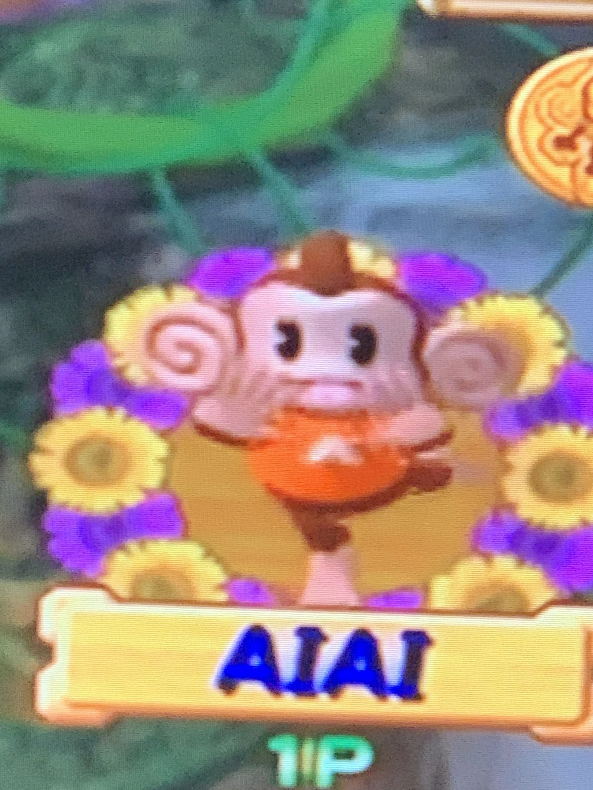 Super Monkey Ball 2 Character Chosen Animations | Super Monkey Ball ...