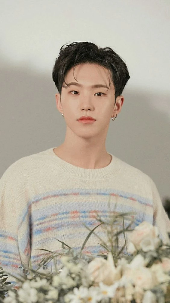Soonyoung | Supernatural Asian Pop Wiki | Fandom