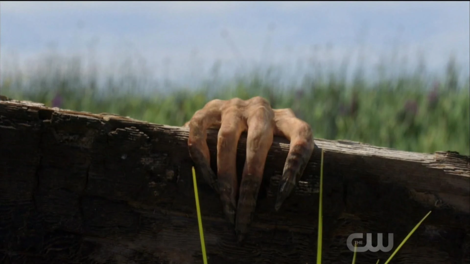 Shedim | Supernatural Wiki | Fandom