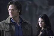 Sam Winchester | Supernatural Wiki | Fandom