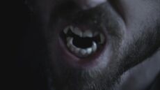 Werewolf | Supernatural Wiki | Fandom