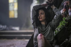 Lydia Crawford | Supernatural Wiki | Fandom