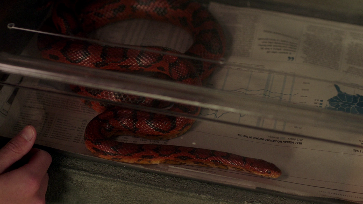 Discuss Everything About Supernatural Wiki | Fandom