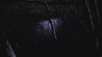 Purgatory | Supernatural Wiki | Fandom