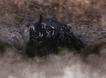 Supernatural Leviathan Castiel Gif