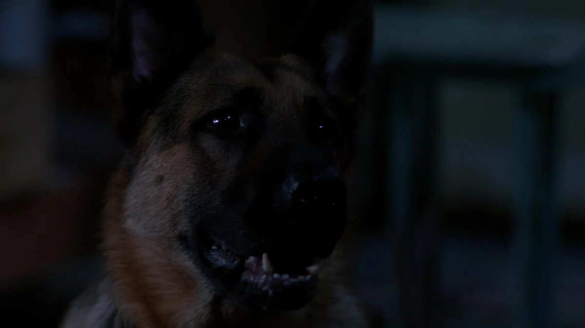 The Colonel | Supernatural Wiki | Fandom