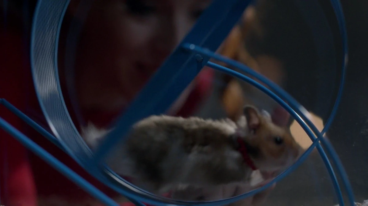 Fate Manipulation Spell | Supernatural Wiki | Fandom