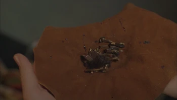 Hex Bag | Supernatural Wiki | Fandom