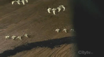 Crossroad Blues | Supernatural Wiki | Fandom