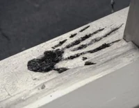 Shtriga | Wiki Supernatural Brasil | Fandom