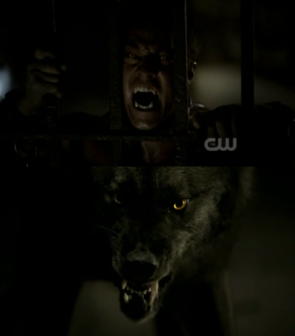 Alpha Werewolf Supernatural