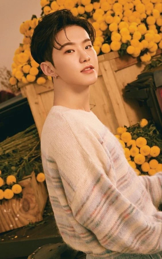 Hoshi | SupernaturalKpopFanfic Wiki | Fandom