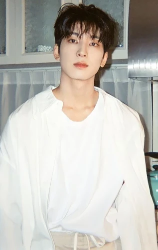Wonwoo | SupernaturalKpopFanfic Wiki | Fandom