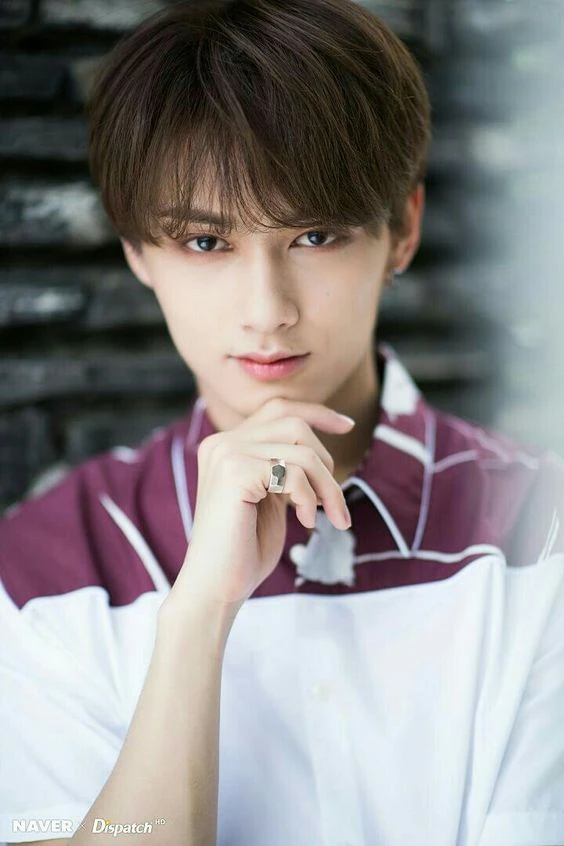 Jun (SVT) | SupernaturalKpopFF Wiki | Fandom