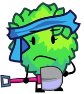 Leaf Ball | Supernova Specialization Wiki (Fan Made Wiki Pages) Wiki ...