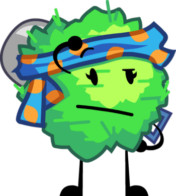 Leaf Ball | Supernova Specialization Wiki (Fan Made Wiki Pages) Wiki ...