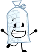Ice Bag | Supernova Specialization Wiki (Fan Made Wiki Pages) Wiki | Fandom