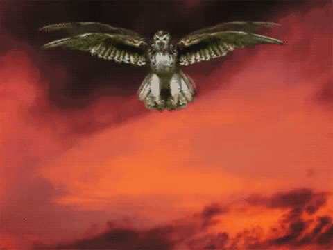 Avian Form Gallery | Superpower List Wikia | Fandom