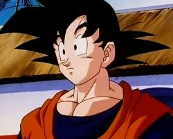 Goku Normal State