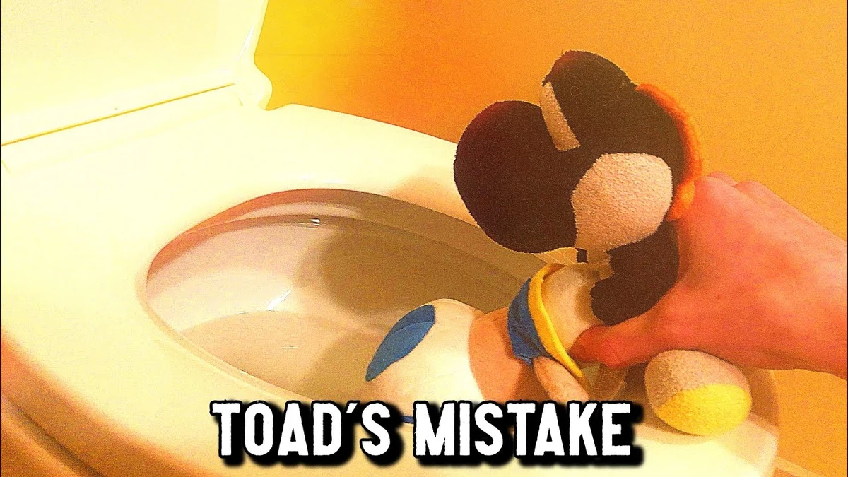 Toad's Mistake | SuperShortsMJ Wiki | Fandom