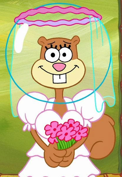 Sandy Cheeks/gallery | Super Smash Bros. Bowl Wiki | Fandom